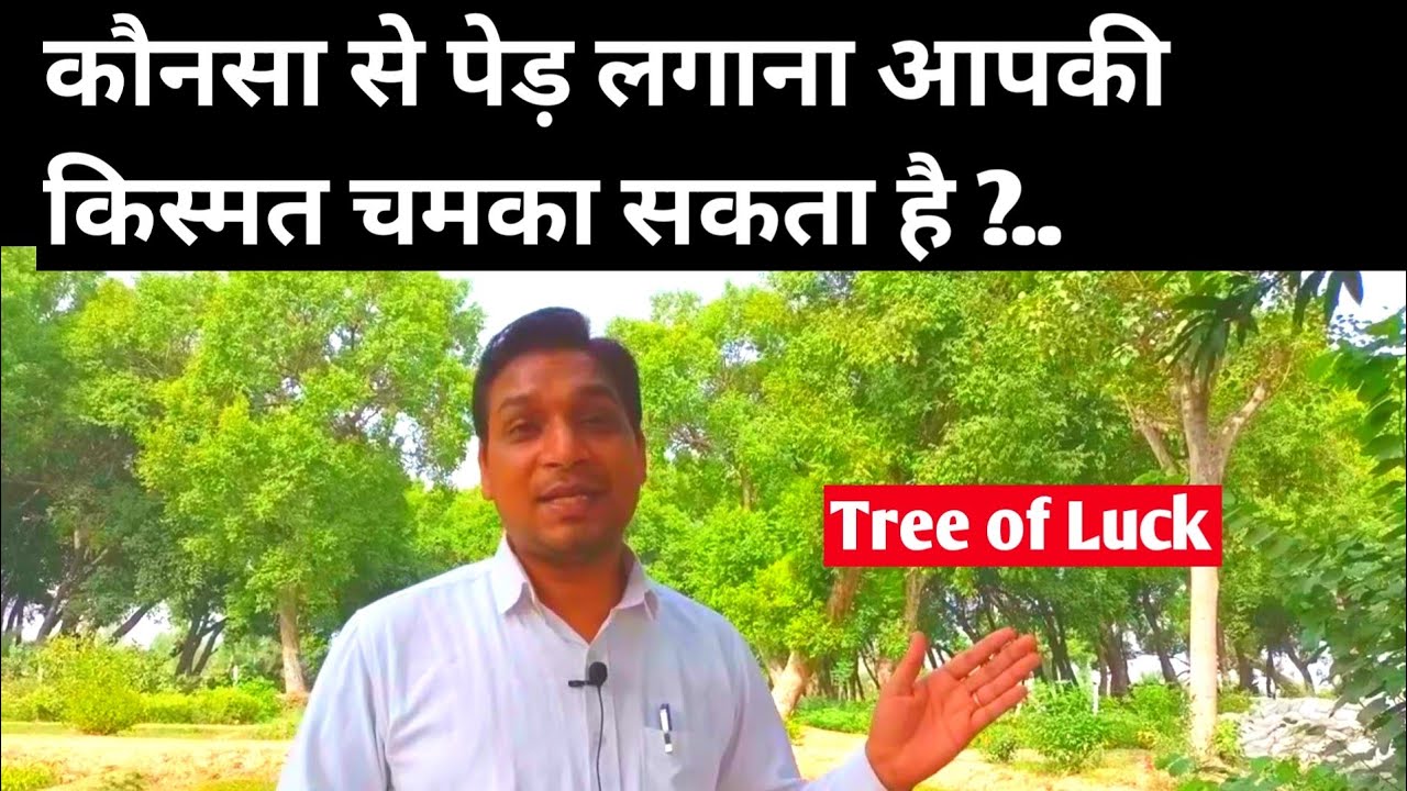 कैसा पेड़ लगाना बदल सकता है आपकी किस्मत | Tree Plantation as Per Lal ...