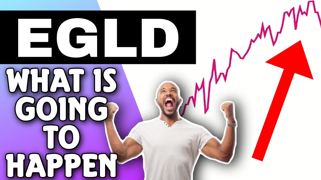 🚀ELROND EGLD CATALYSTS AND BIG UPDATE! IS EGLD COIN A BUY RIGHT NOW ...