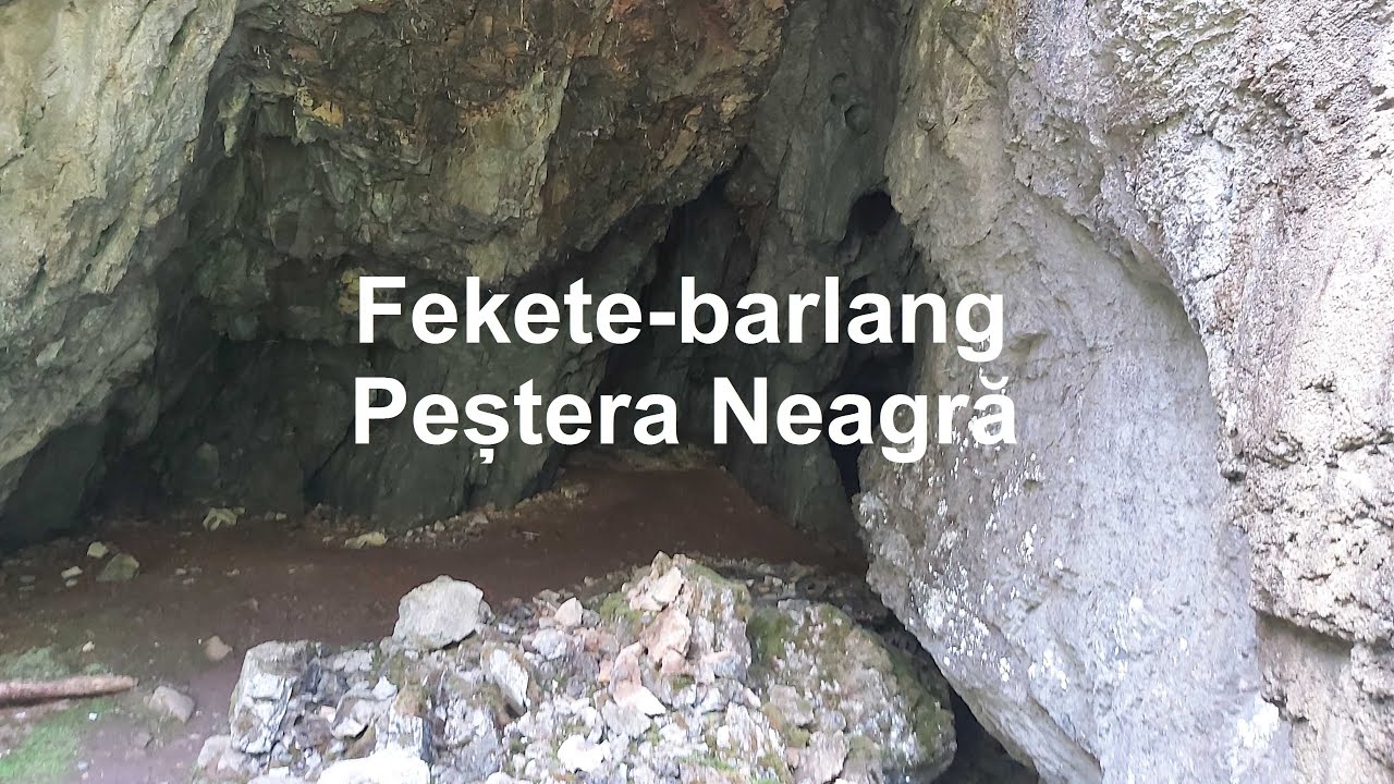 Fekete-barlang/Peștera Neagră Cave | Bihar-Vigyázó-hegység/Munții Bihor ...