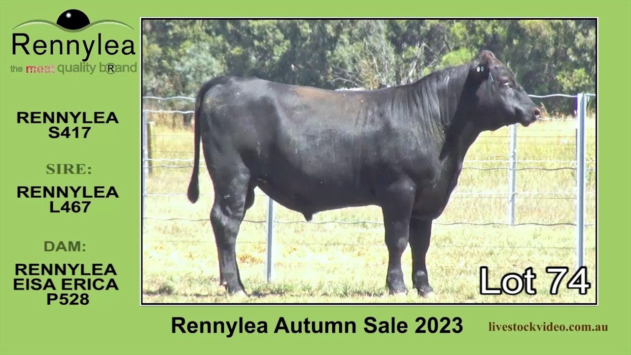 Lot 74 Rennylea March 2023 - YouTube