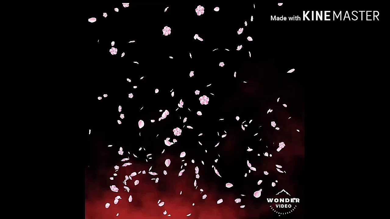 Tanchellie Lobete Singing Compilation. 🎤 - YouTube