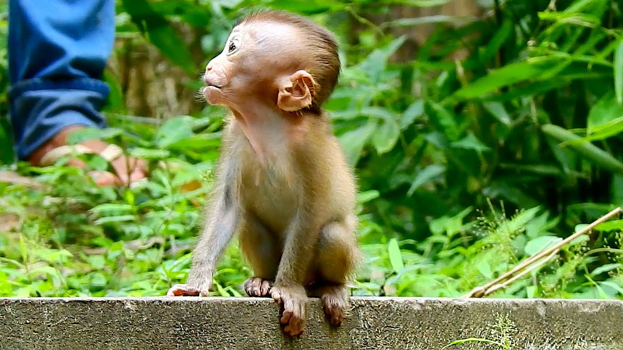 Lovely! bb Rainbow look so cute when she respond to someone - YouTube