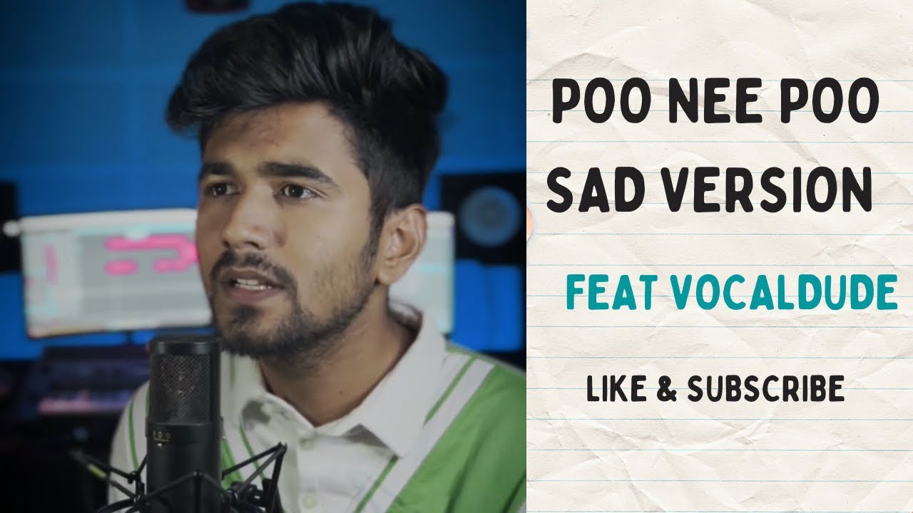 Poo Nee Poo Sad Version feat Vocal Dude - YouTube