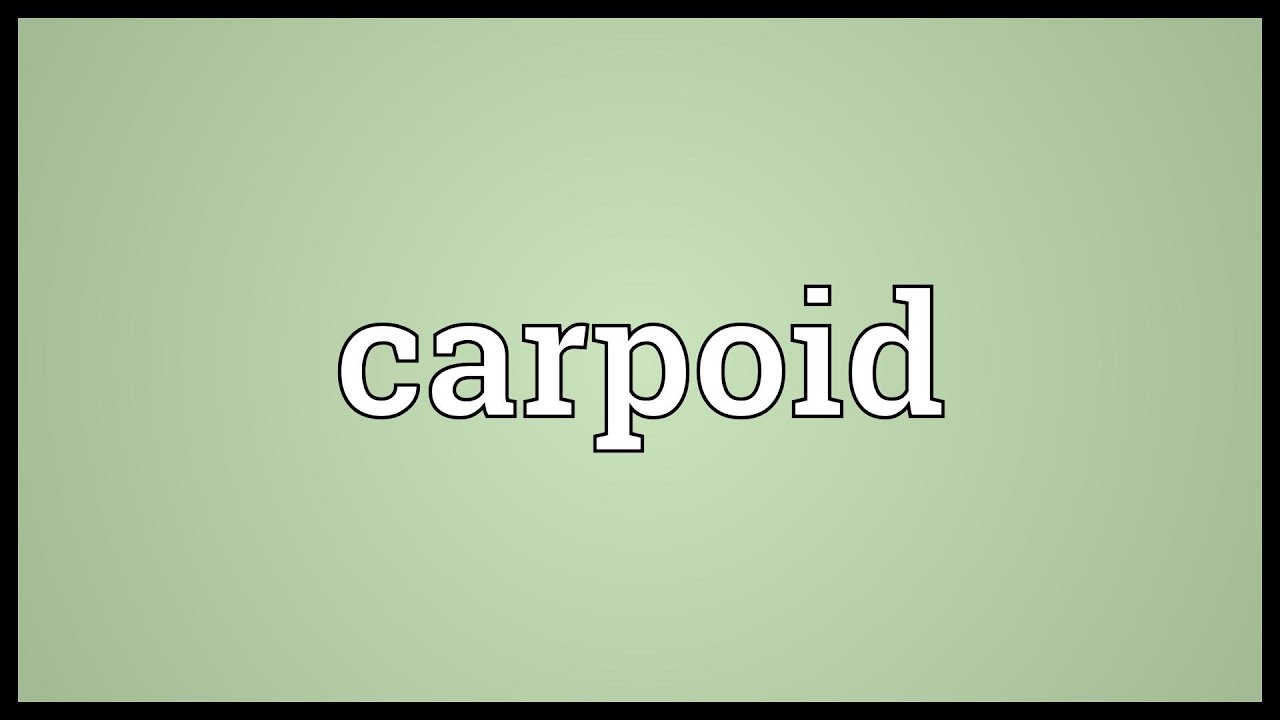 Carpoid Meaning - YouTube
