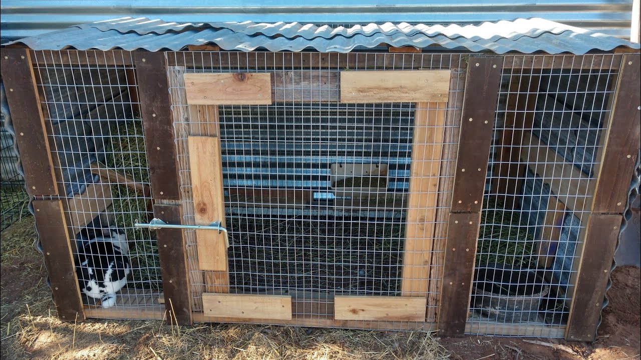 Building a Cage for our New Animal! - YouTube