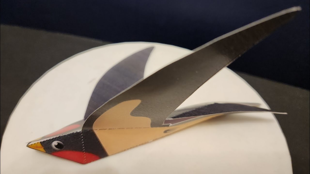 DIY Flying Bird Craft | Easy Cardboard Art Tutorial - YouTube