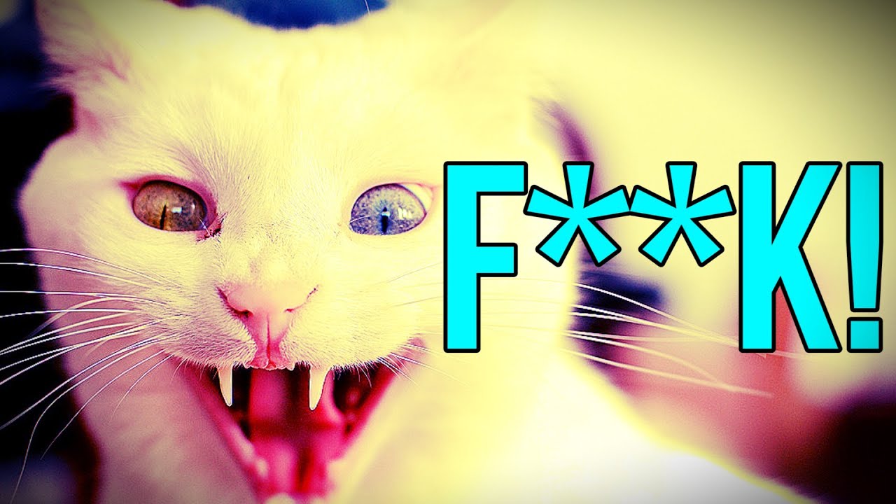 14 F-Word Facts You Gotta F**king Know - YouTube