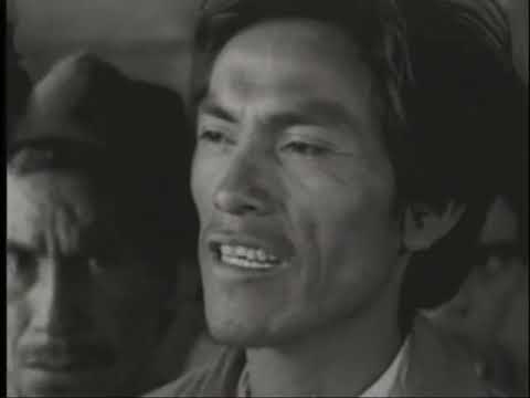 Índios, Memória de uma CPI (Hermano Penna de 1968 até 1998 ...