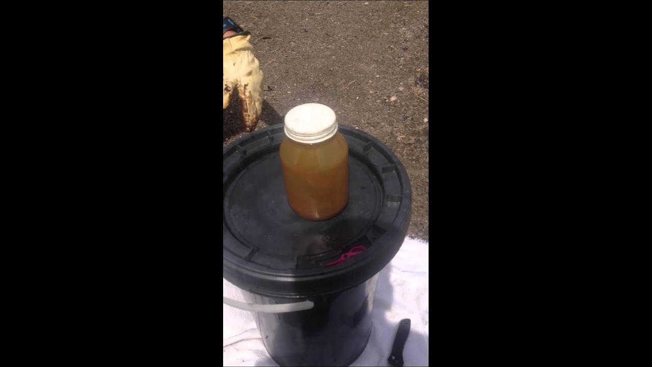 Yellow Waxy Crude - YouTube