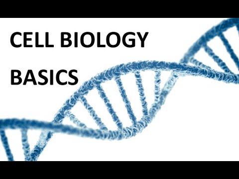 How to Learn Cell Biology Basics - YouTube