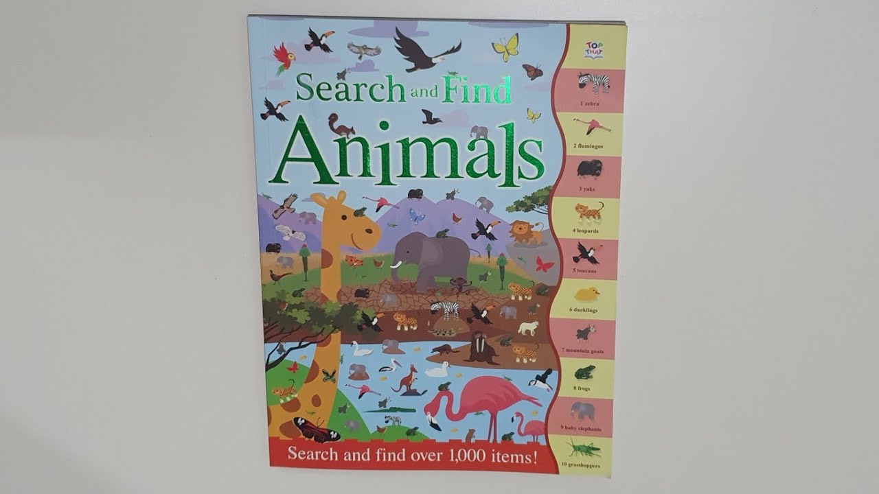 Search And Find Animals - YouTube