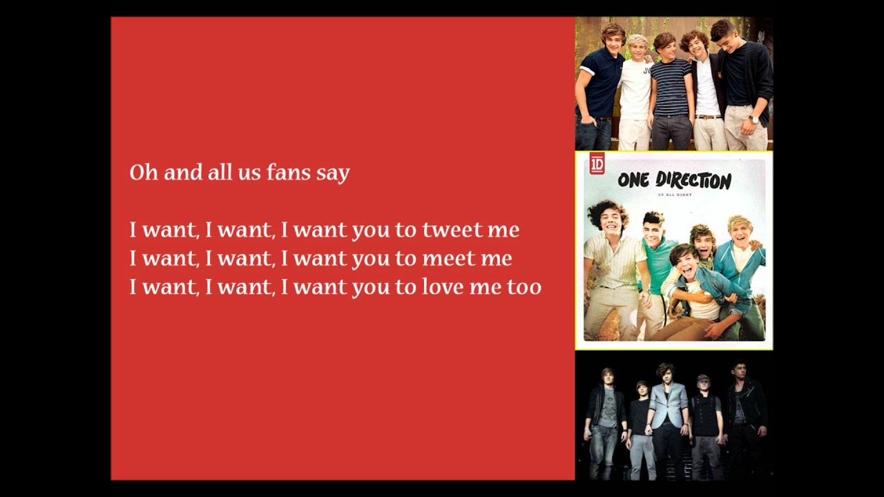 I Want - One Direction Fan Lyrics - YouTube