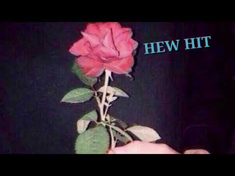 Ziyydin Production- Скажи мне просто да