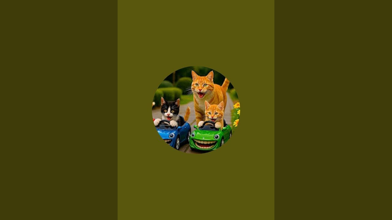 Cute & Funny Cats 🐾 | Live Cat Stream | Relaxing Cats Compilation Part ...