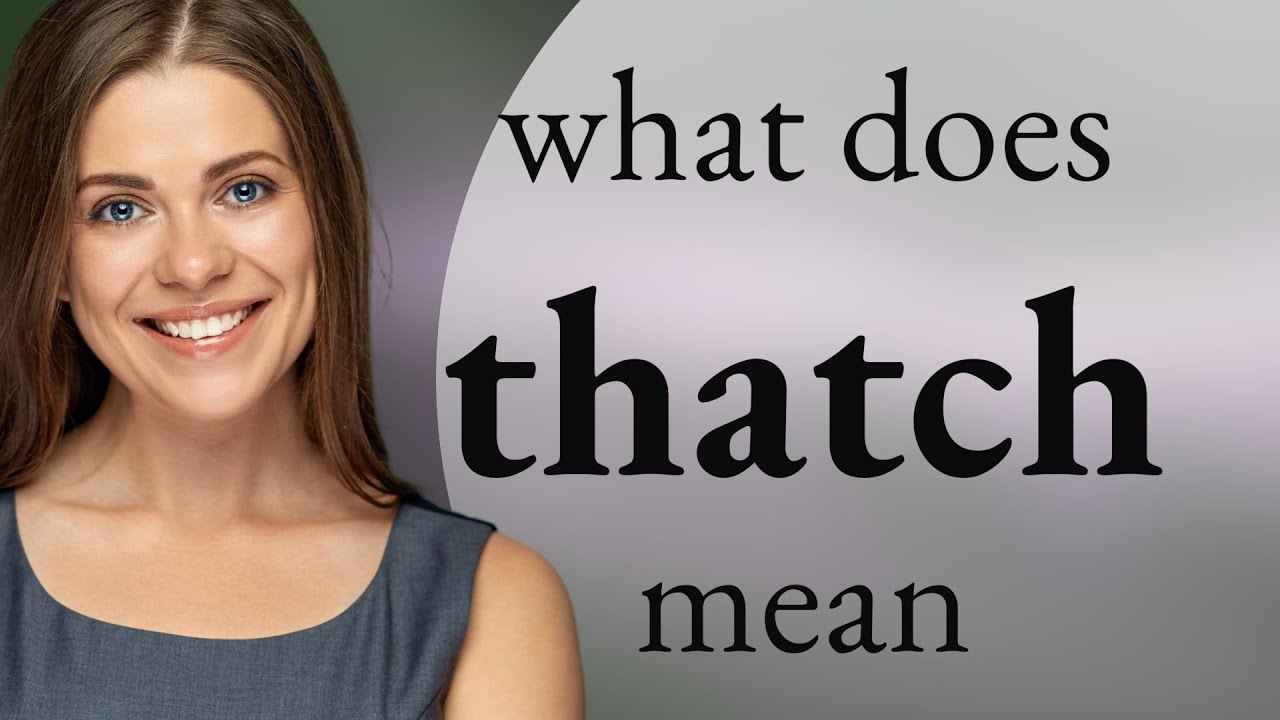 Thatch • what is THATCH meaning - YouTube