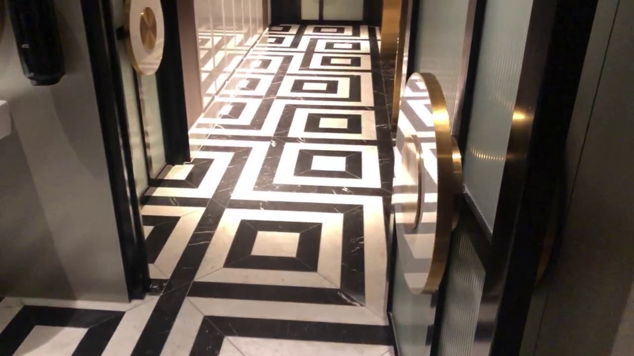 record DFA 127 Swing Operator with Accessible Toilet Privacy Kit - YouTube