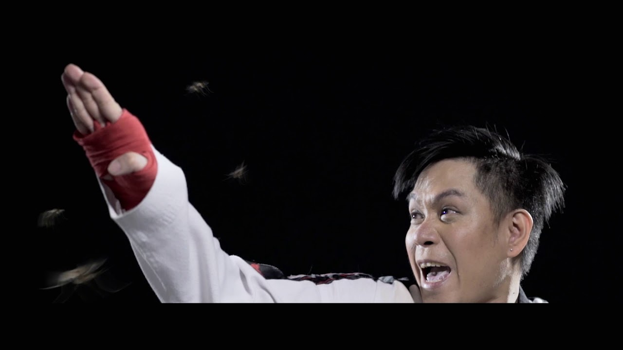 Advanced Multi-Insect Killer TVC: Karate - YouTube