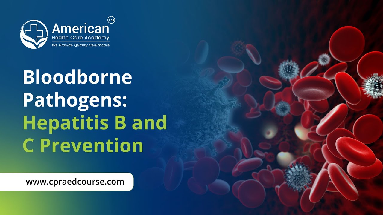 Bloodborne Pathogens: Hepatitis B and C Prevention - YouTube