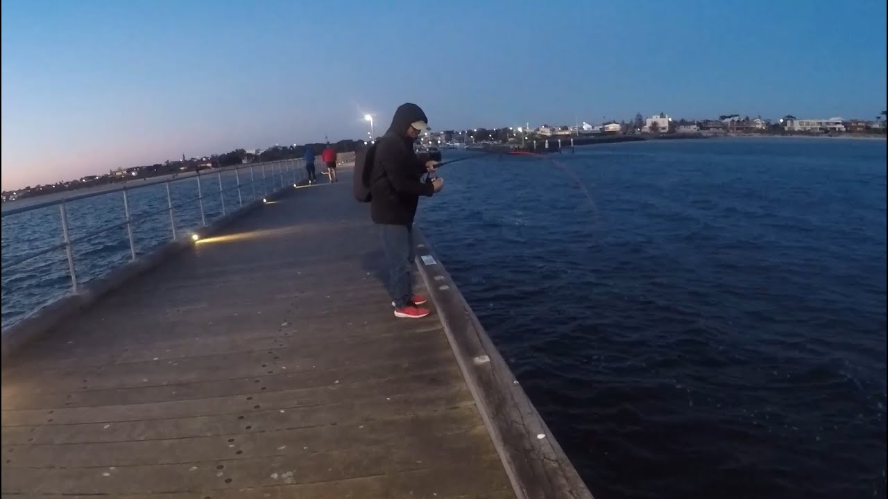 BIG SALMON MORDIALLOC PIER, FISHING SPOT VICTORIA - YouTube