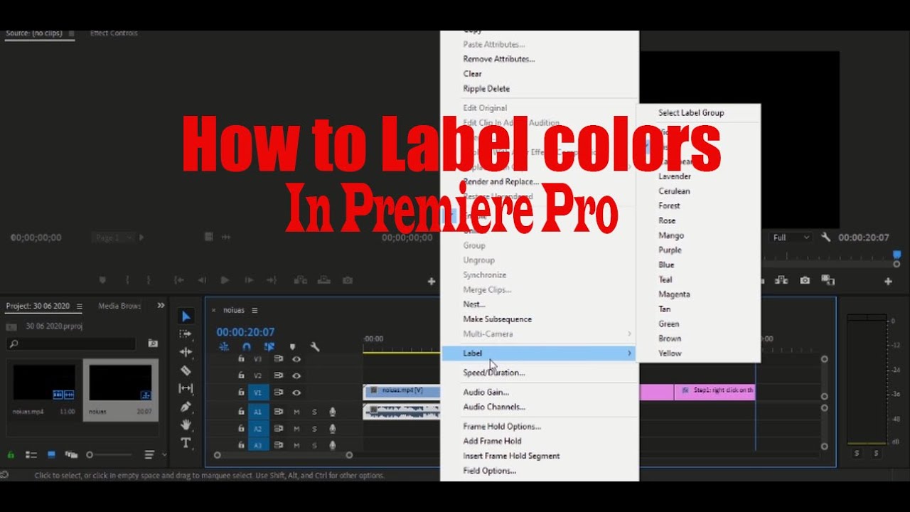 How to label colors in (Adobe Premiere Pro) - YouTube