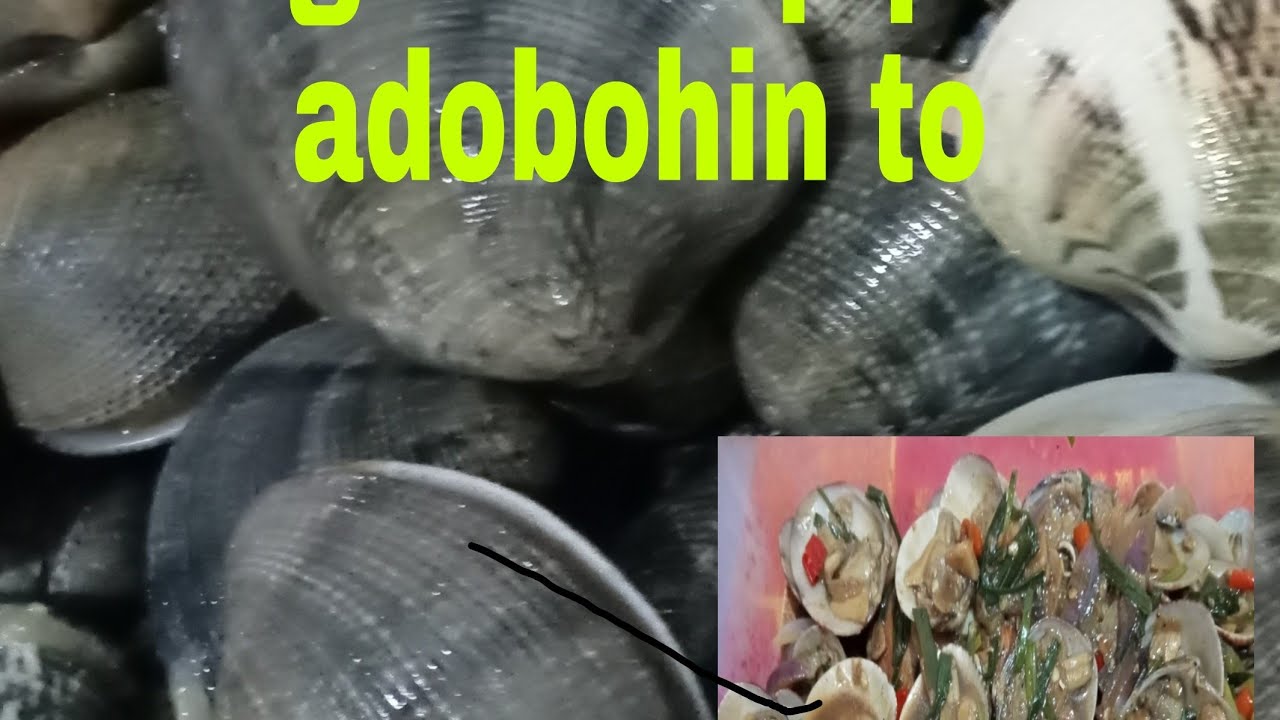 halaan. shell ng dagat sarap pala adobohin nito. - YouTube