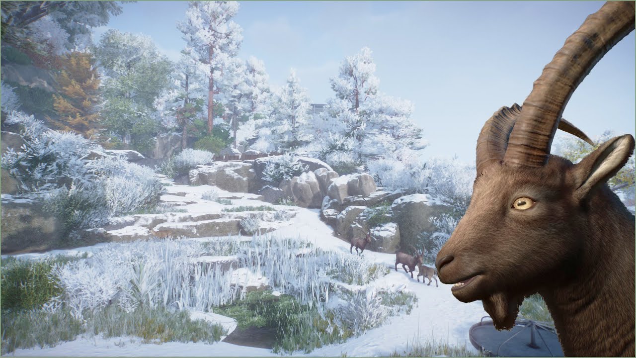 🐐Simple alpine ibex habitat | Quaco Zoo | Planet Zoo | speedbuild🌻 ...