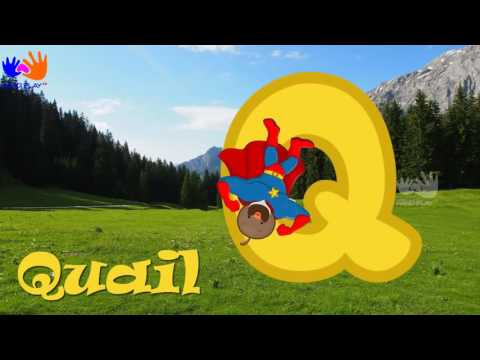 Learn the Alphabet with Animals  Talking ABC Animal from M to S for kids  Hand Play TV