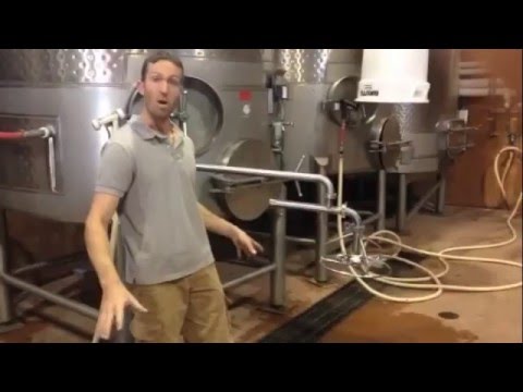 Red Wine Pump Over Demo In A Winery - YouTube