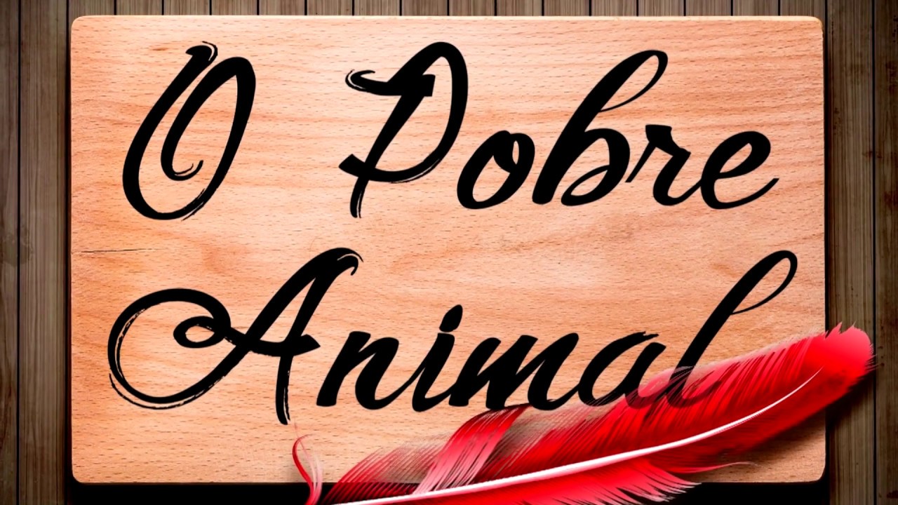 1-61) O Pobre Animal - YouTube