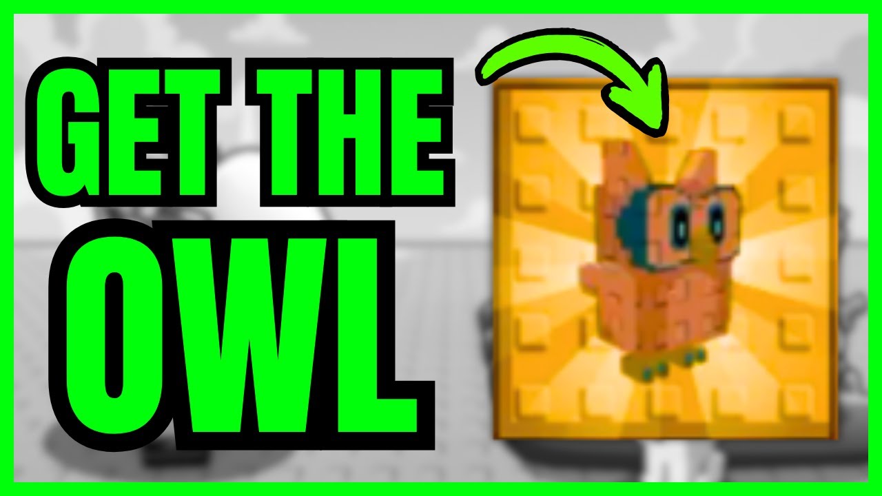 How To Get OWL In Grow A Garden Roblox (ONLY WAY) 2025 - YouTube