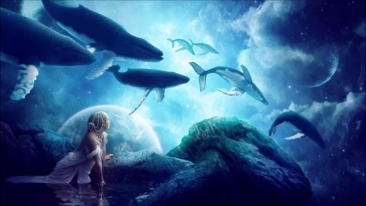 Meditation Activation Healing🐳 Whales and Dolphins Lemuria/ Sirius ...