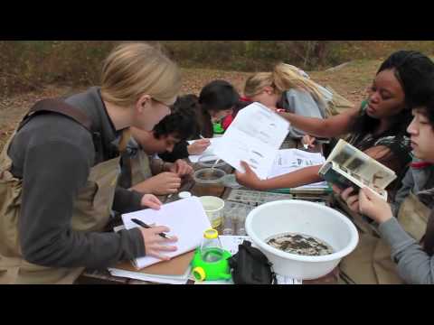 Stream Sampling - YouTube