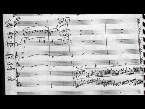 Julius Röntgen - Piano Concerto No. 6  in E minor (1929)
