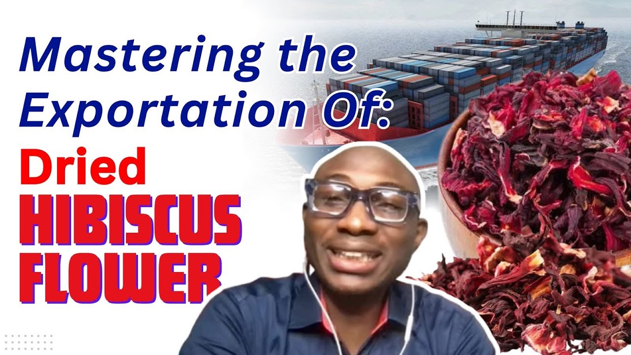 Mastering The Exportation of Hibiscus Flour - YouTube