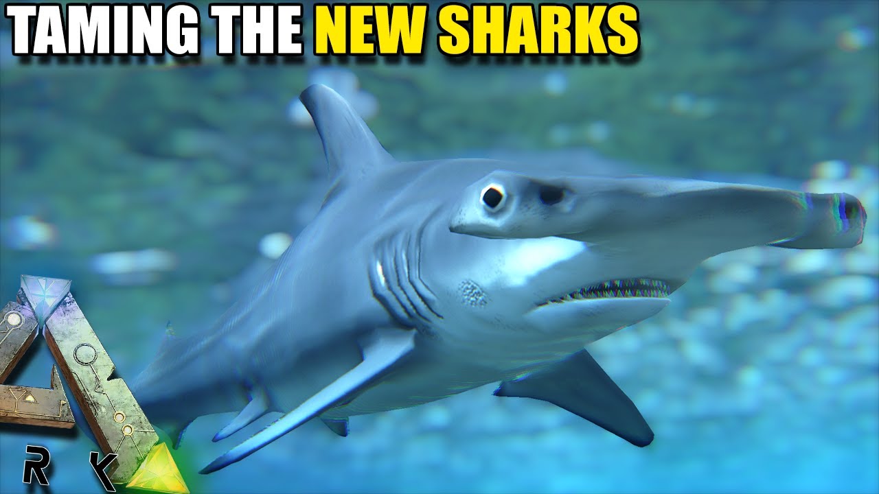 TAMING THE NEW SHARKS | STEAMPUNK | ARK SURVIVAL EVOLVED EP21 - YouTube