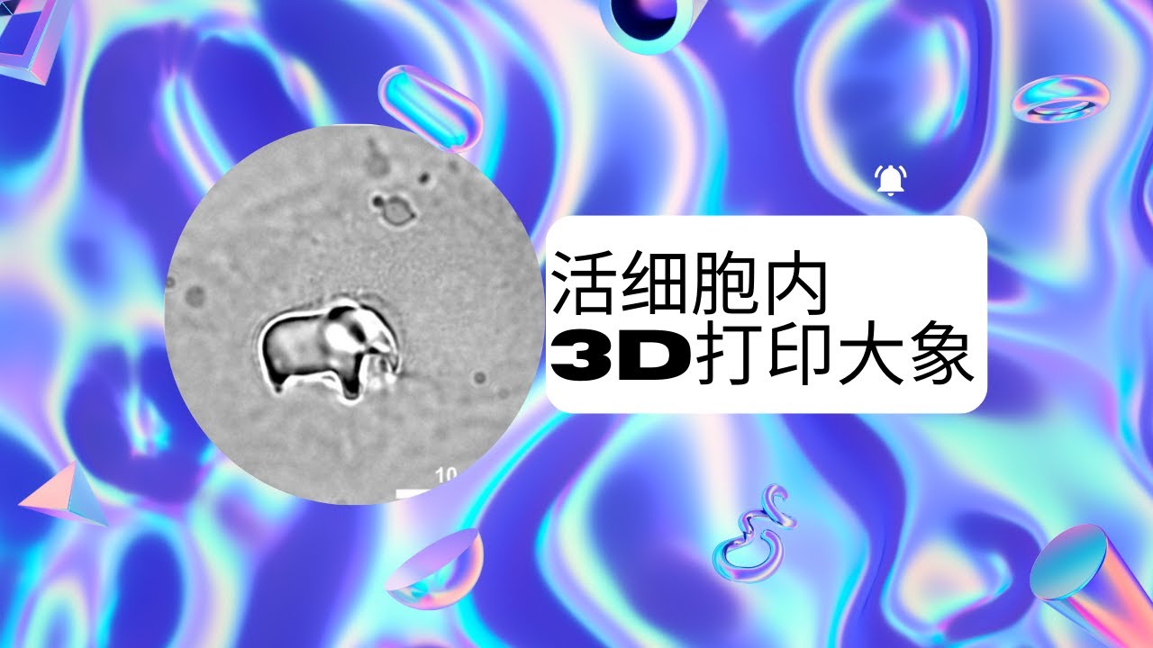 活细胞内首次 3D 打印微型“大象”First‑Ever 3D‑Printed Micro “Elephant” Inside a ...