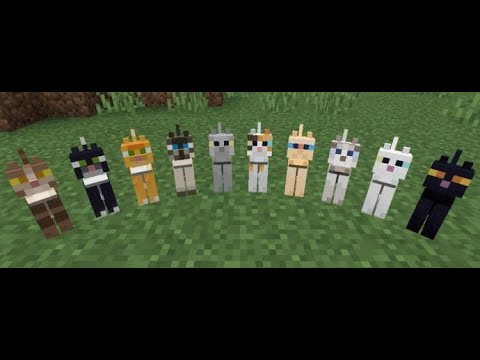 Minecraft 1000 cat's meowing - YouTube