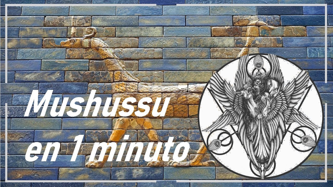 Mushussu en 1 minuto - YouTube
