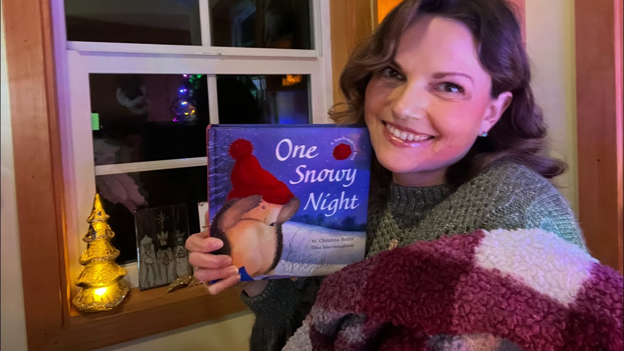 Our First Bedtime Story! One Snowy Night By M. Christina Butler and ...