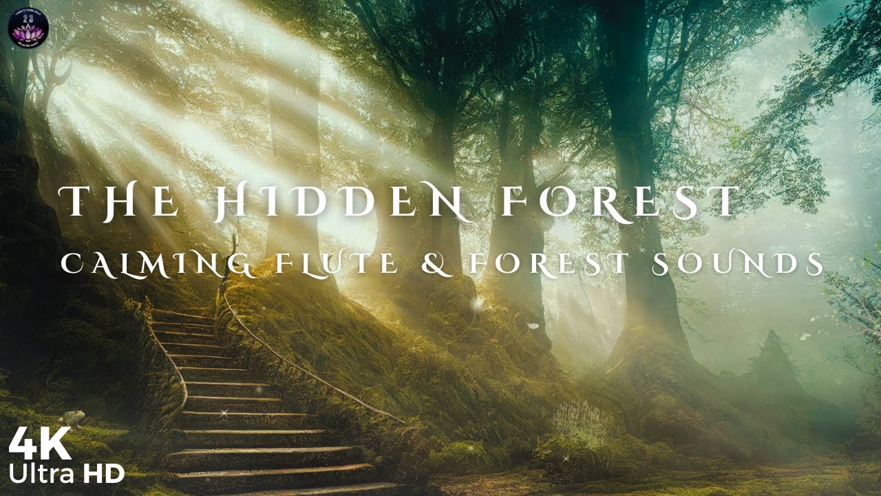 Mystery in the Hidden Forest | Calming Flute Music with Forest Sounds - YouTube