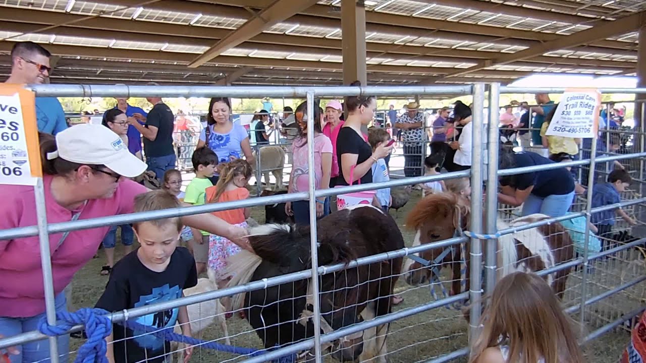 Petting Zoo 2 動物2 - YouTube