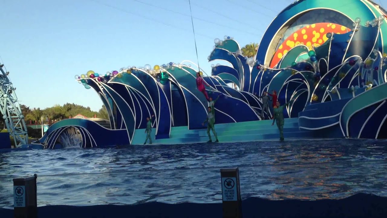 SeaWorld - Blue Horizons Part 3 (HD) - YouTube