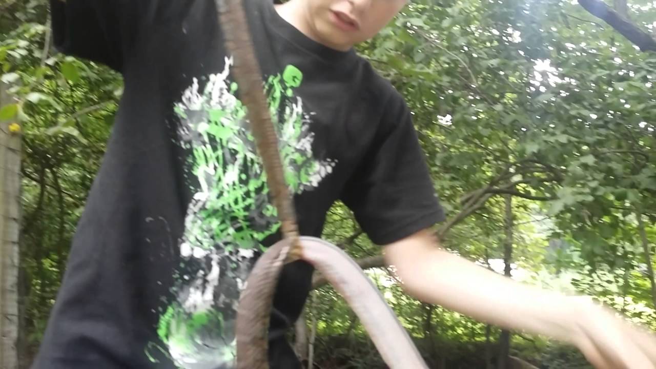 Skinning a snake - YouTube