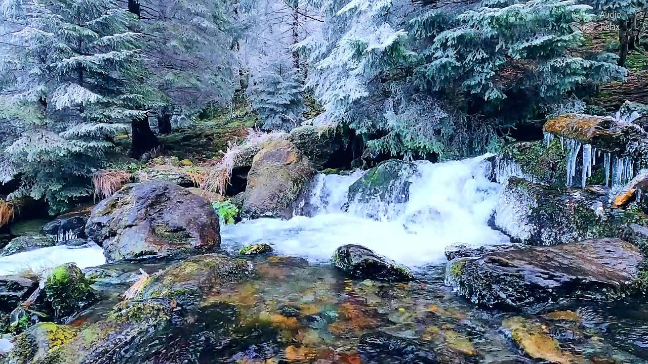 Raging stream in a snowy coniferous forest (Winter) 10 hours - YouTube