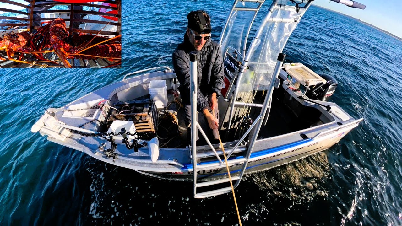 First PROPER Pot Pull After a 1 Week Soak! Crayfish Catch and Cook ...