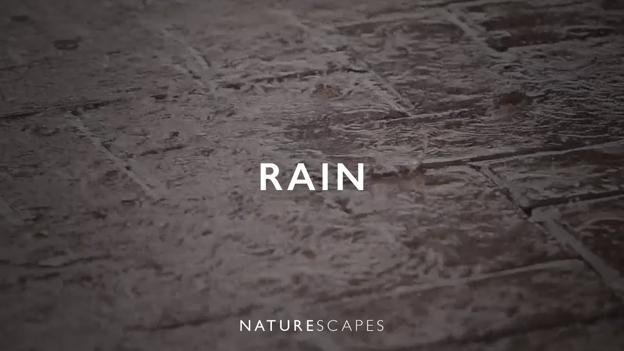 Nature Soundscapes — Rain - YouTube