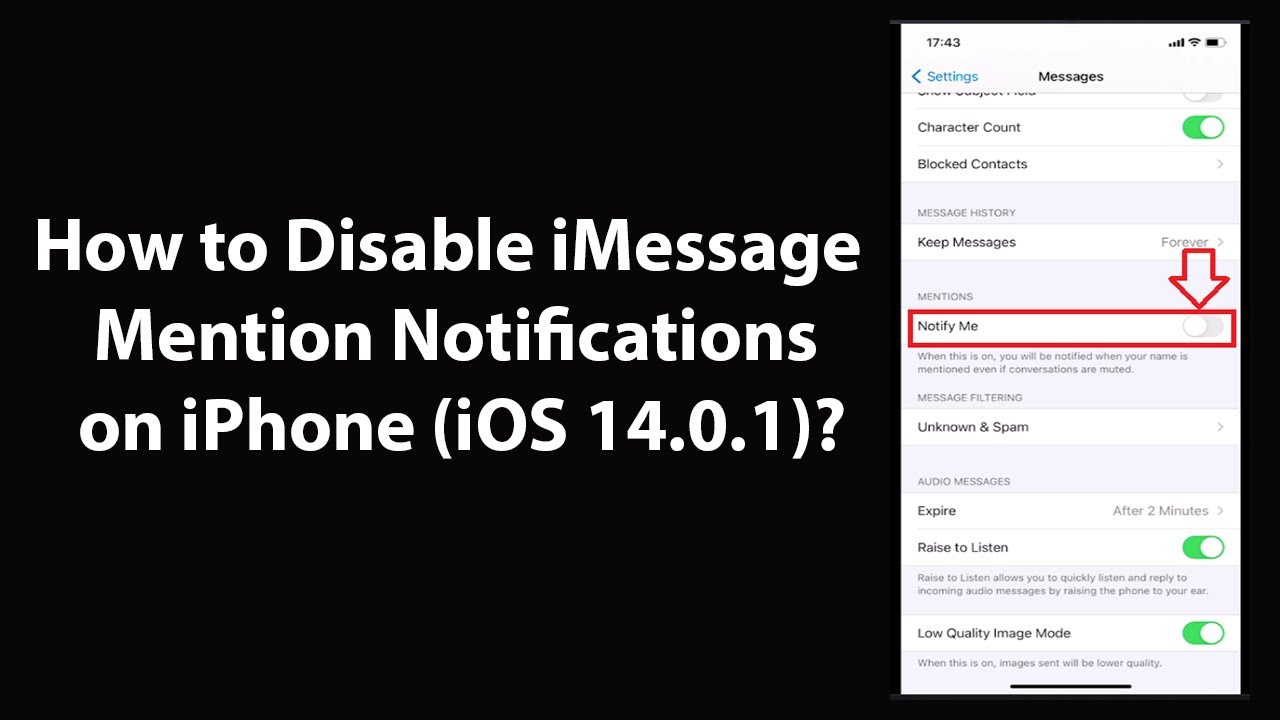 How to Disable iMessage Mention Notifications on iPhone (iOS 14.0.1 ...