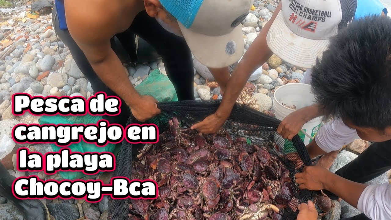 Pesca de Cangrejo en la playa Chocoy - YouTube