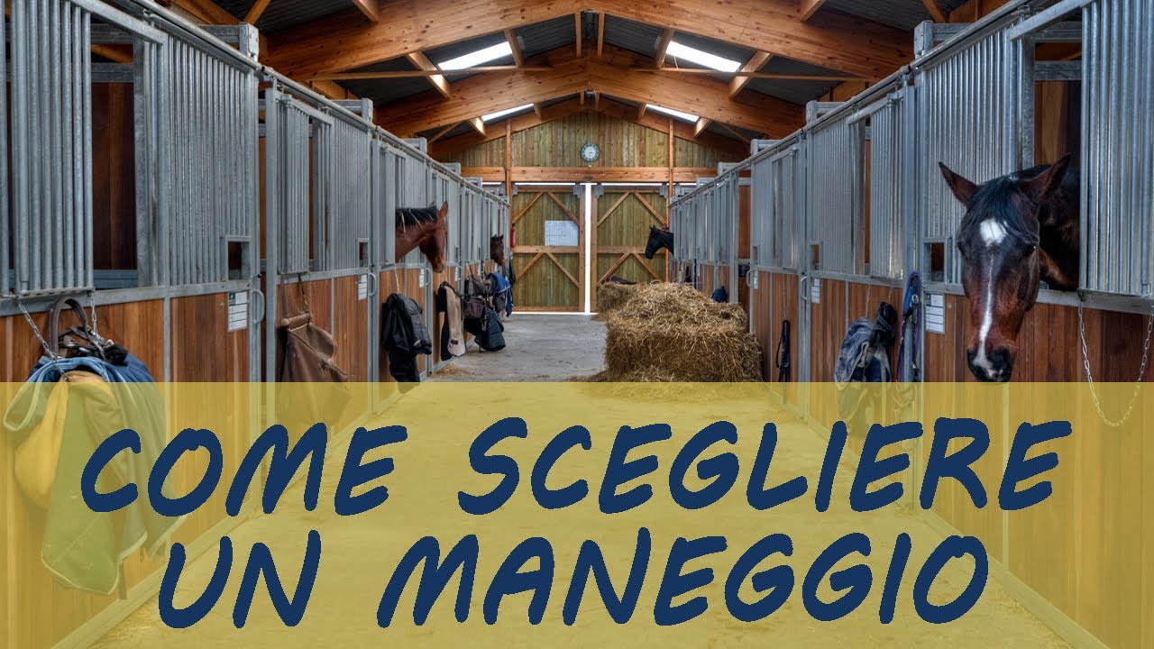 Come scegliere il maneggio ideale - YouTube