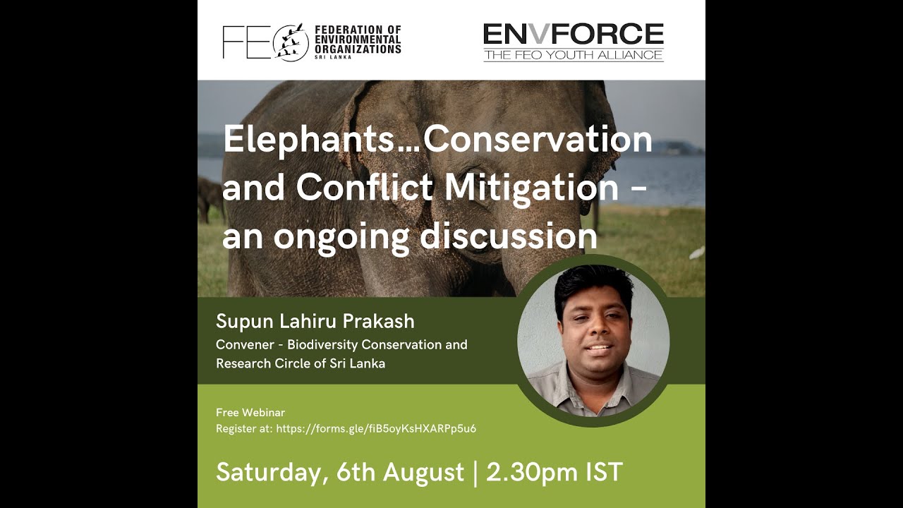 Elephants Conservation and Conflict Mitigation – an ongoing discussion ...